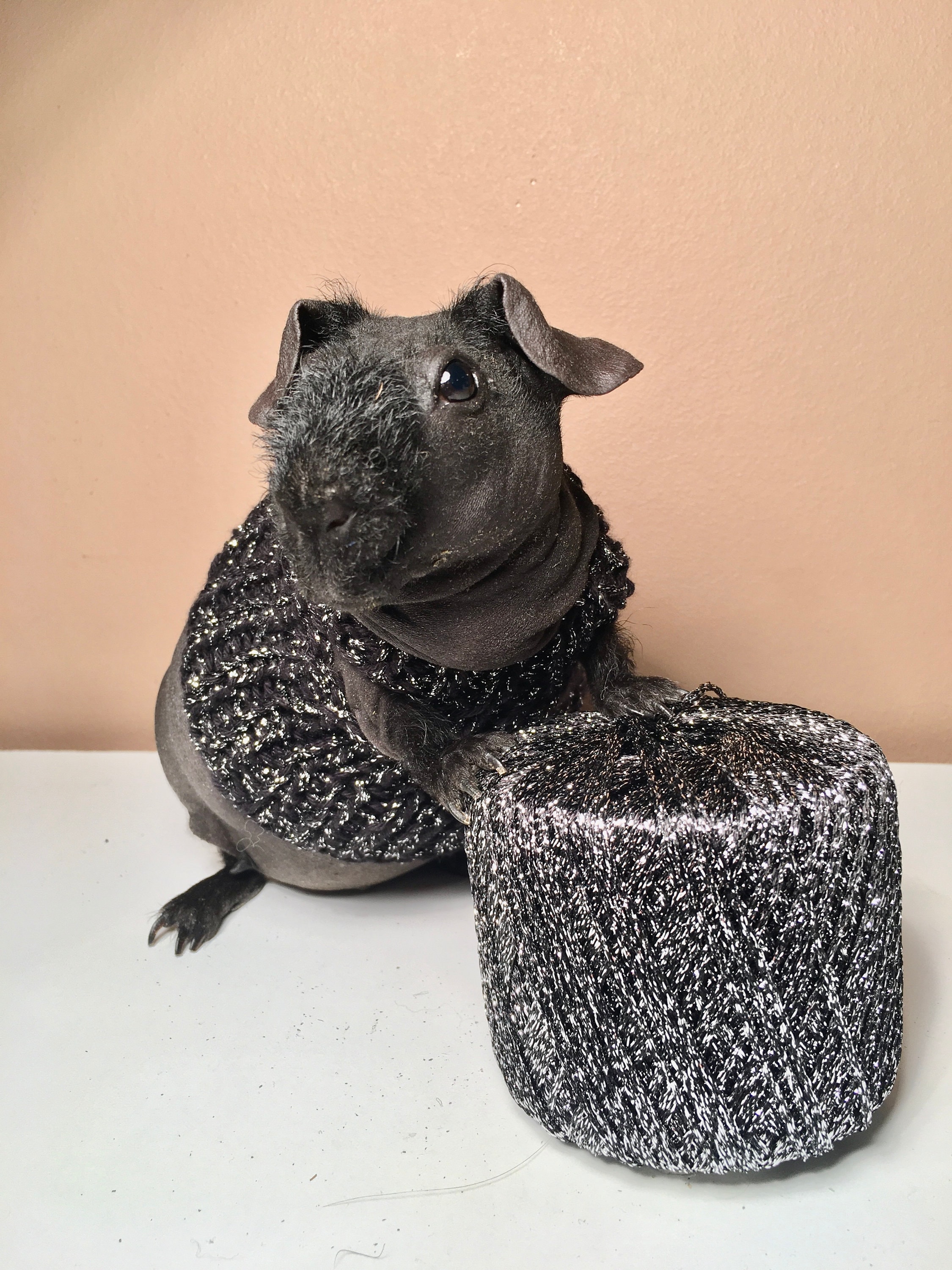 Skinny Pig Dress - Etsy