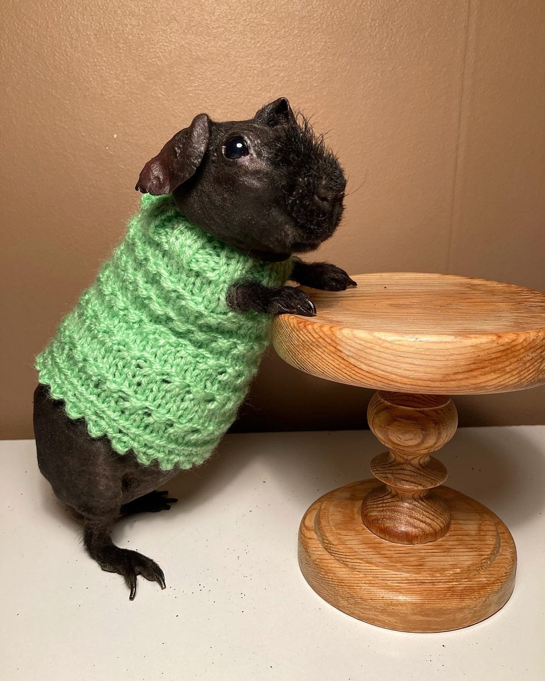 Green Guinea Pig Dress - Etsy