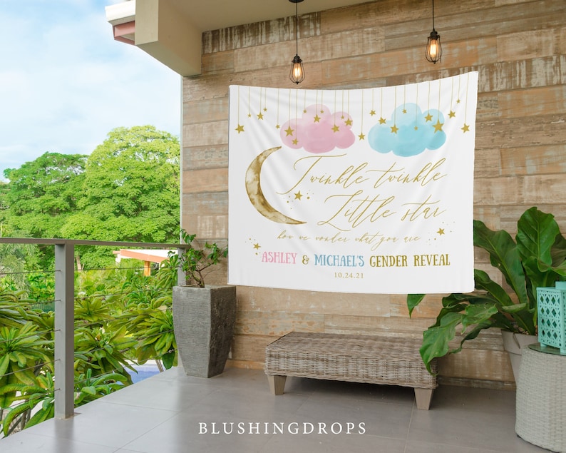 Twinkle Twinkle Little Star Gender Reveal Backdrop Gender | Etsy