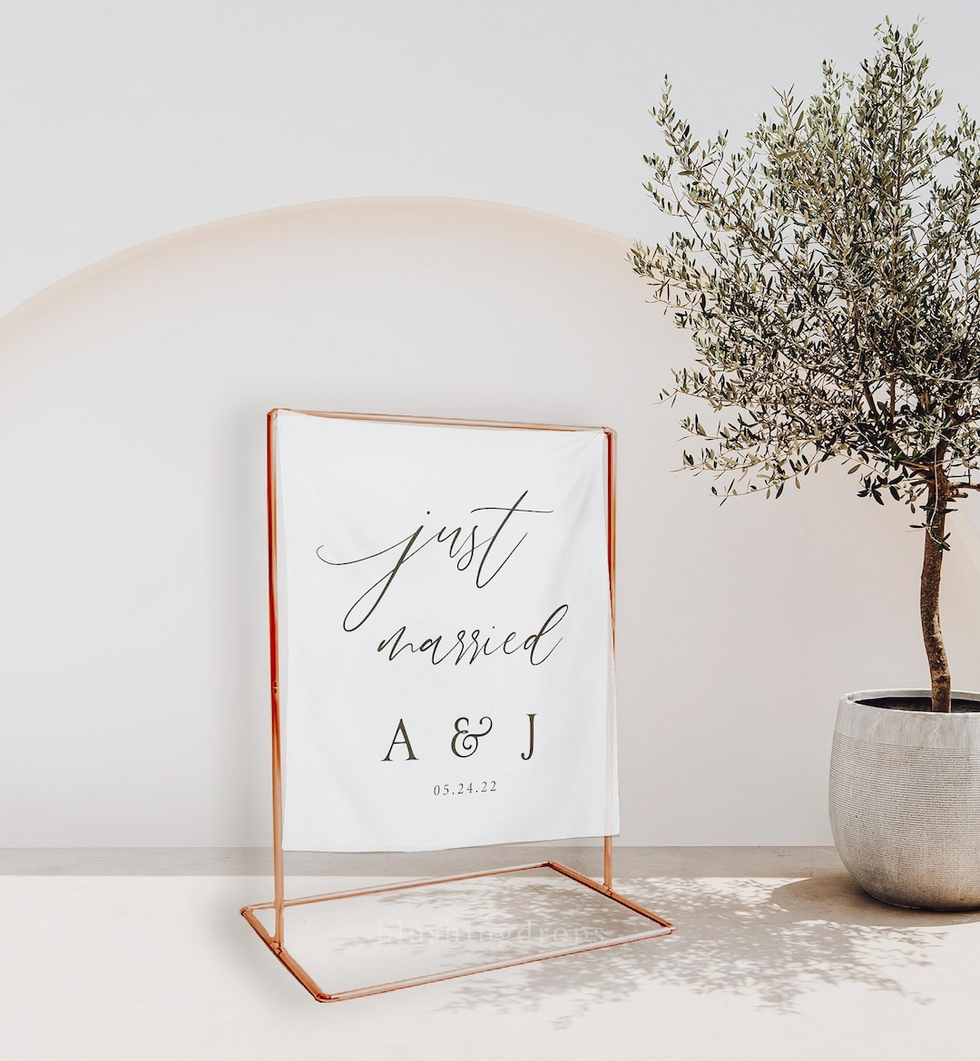 Wedding Reception Backdrop, Just Married Banner, Backdrop for Reception ...