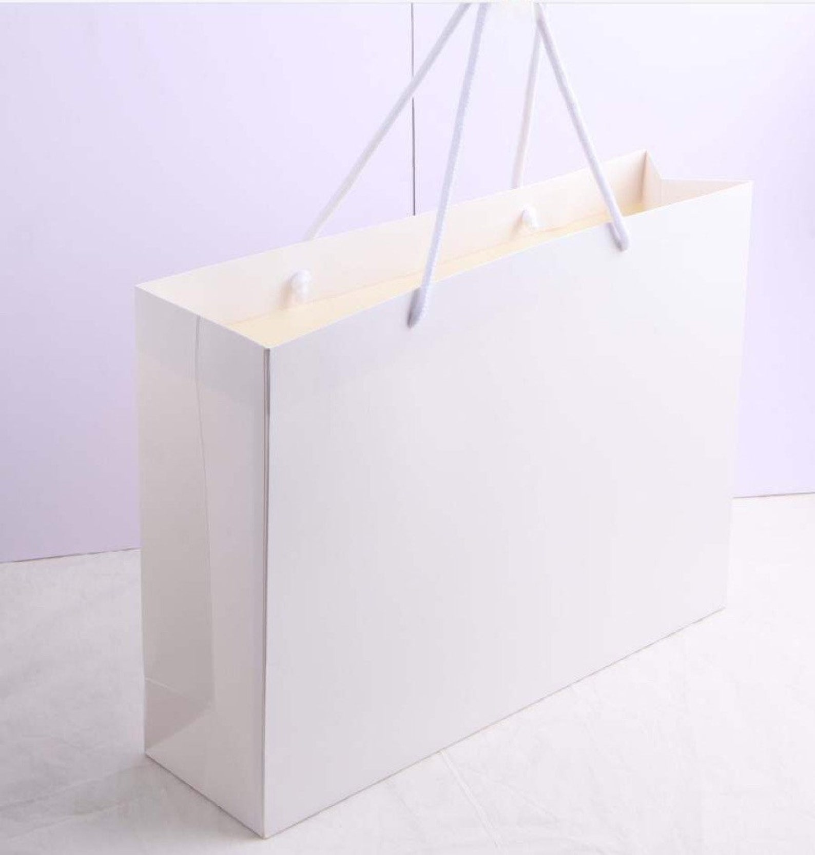 Plain White Gift Bags Luxury Paper Bags With Rope Handle | Etsy