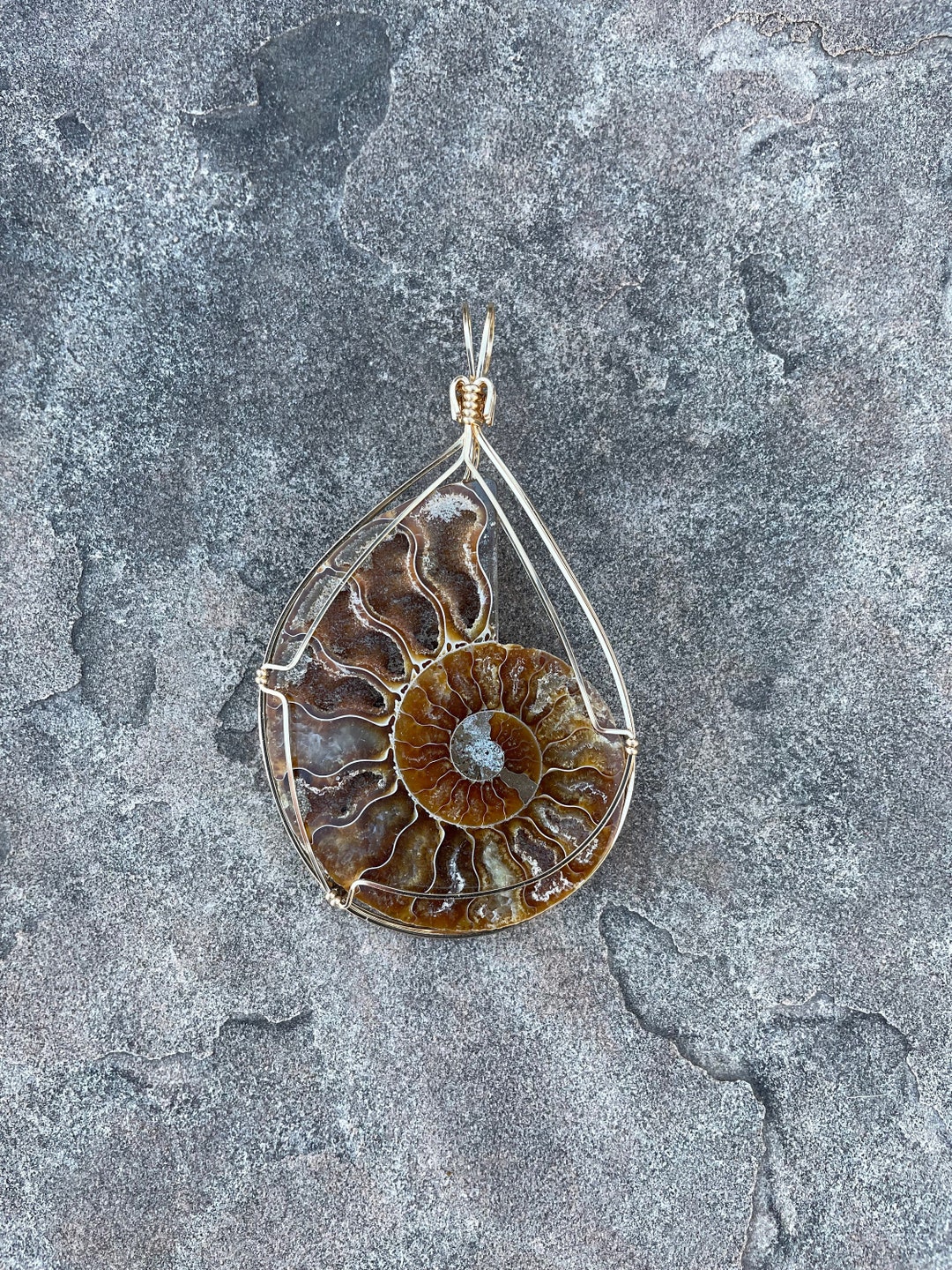 XLG Ammonite Fossil Pendant 14k Gold-filled - Etsy