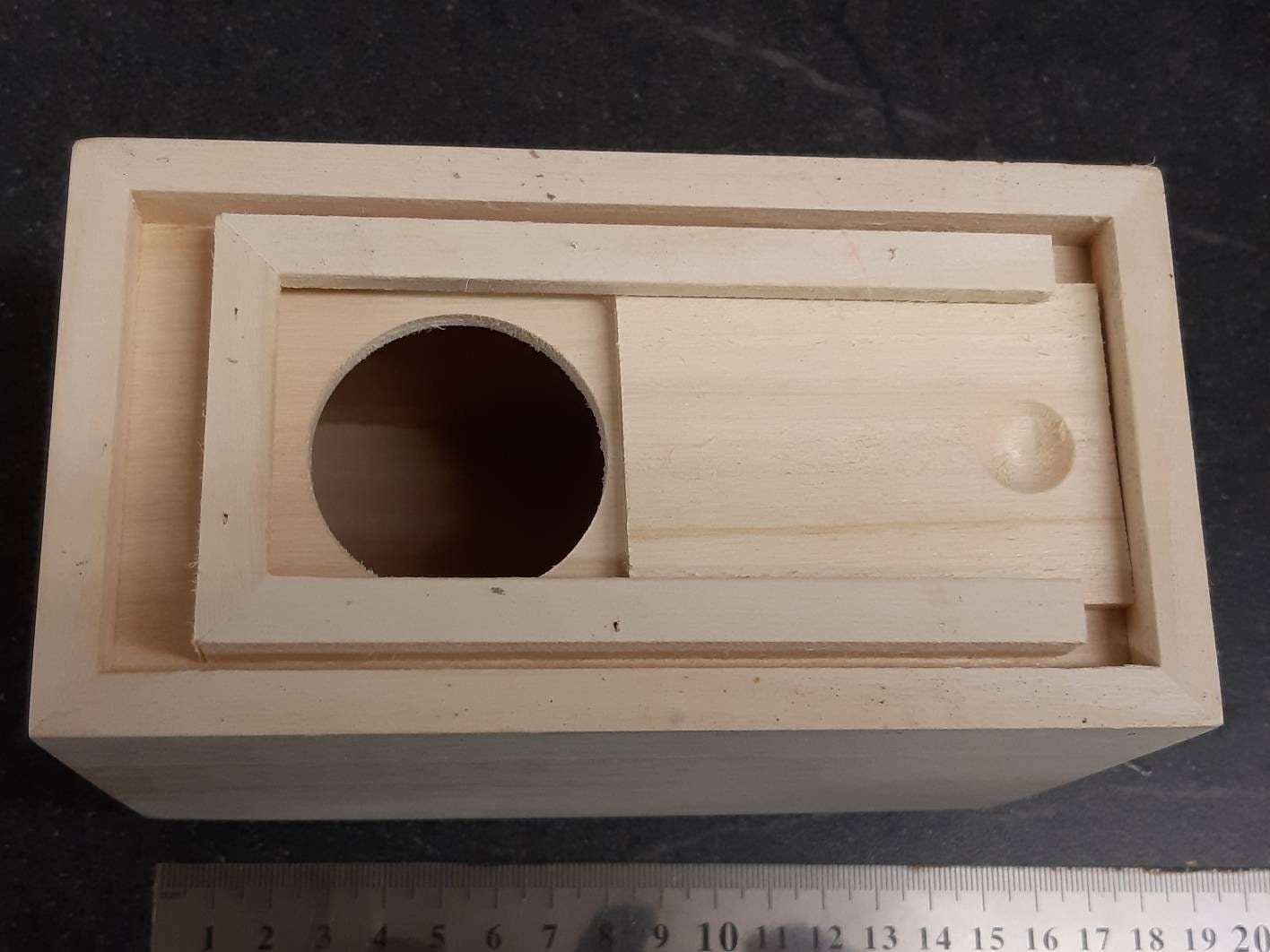 Bee Bumblebee Wooden Money Box, Piggy Bank, Pyrography, Wood Burned ...