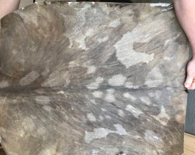 Hairless Goat Skin for Drum Djembe African Hand Drum Goat Skin - Etsy