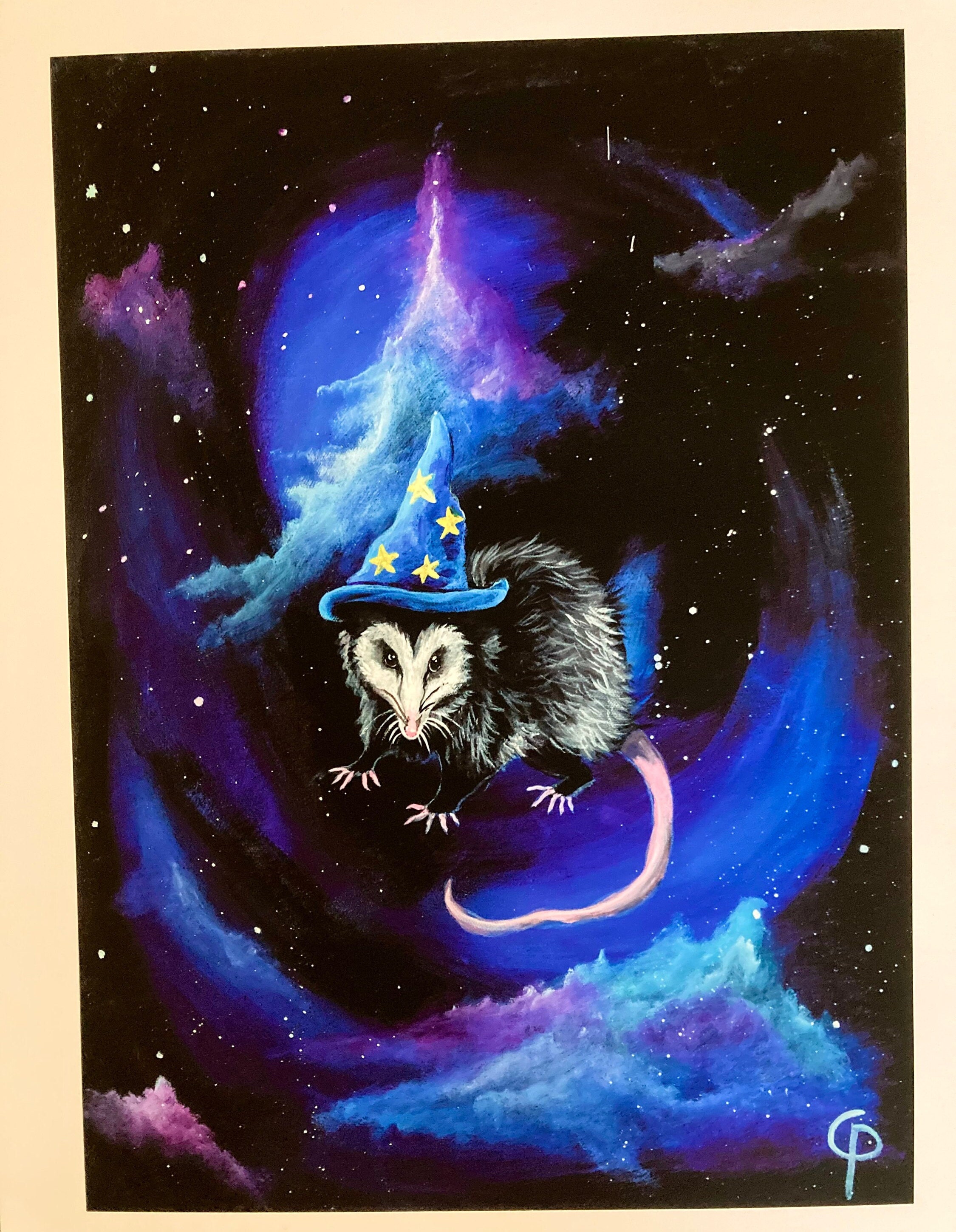 Possum, Possum Wizard, Outer Space, Fantasy - Etsy