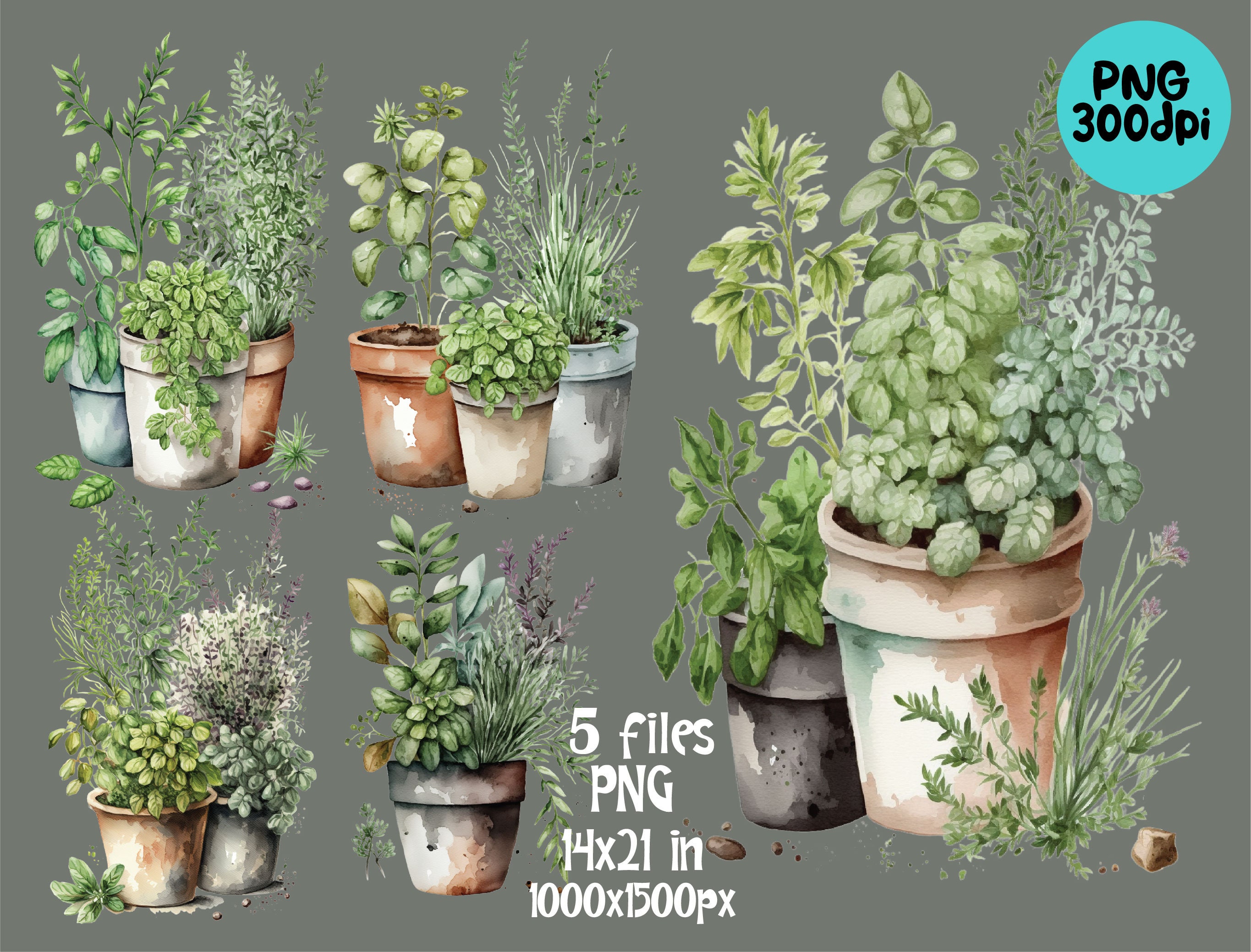 Watercolor Herbs Clipart PNG Kitchen Herbal Pots Sublimation - Etsy