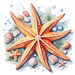 Starfish Clipart PNG Bundle 20 Ocean Animals Sea Star - Etsy
