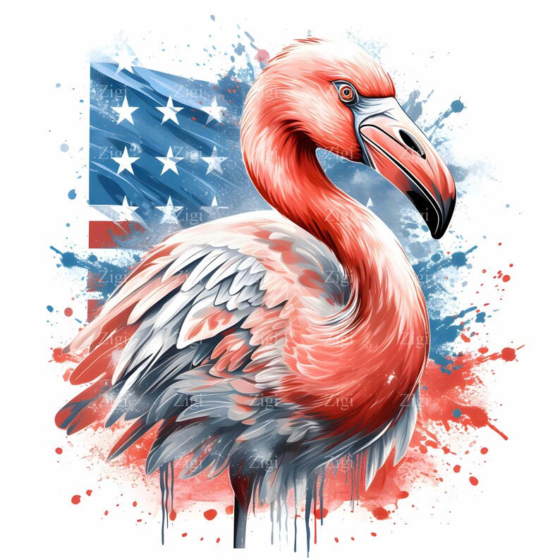 18 JPG USA Flamingo Digital Art, American Flag Bird Sublimation ...