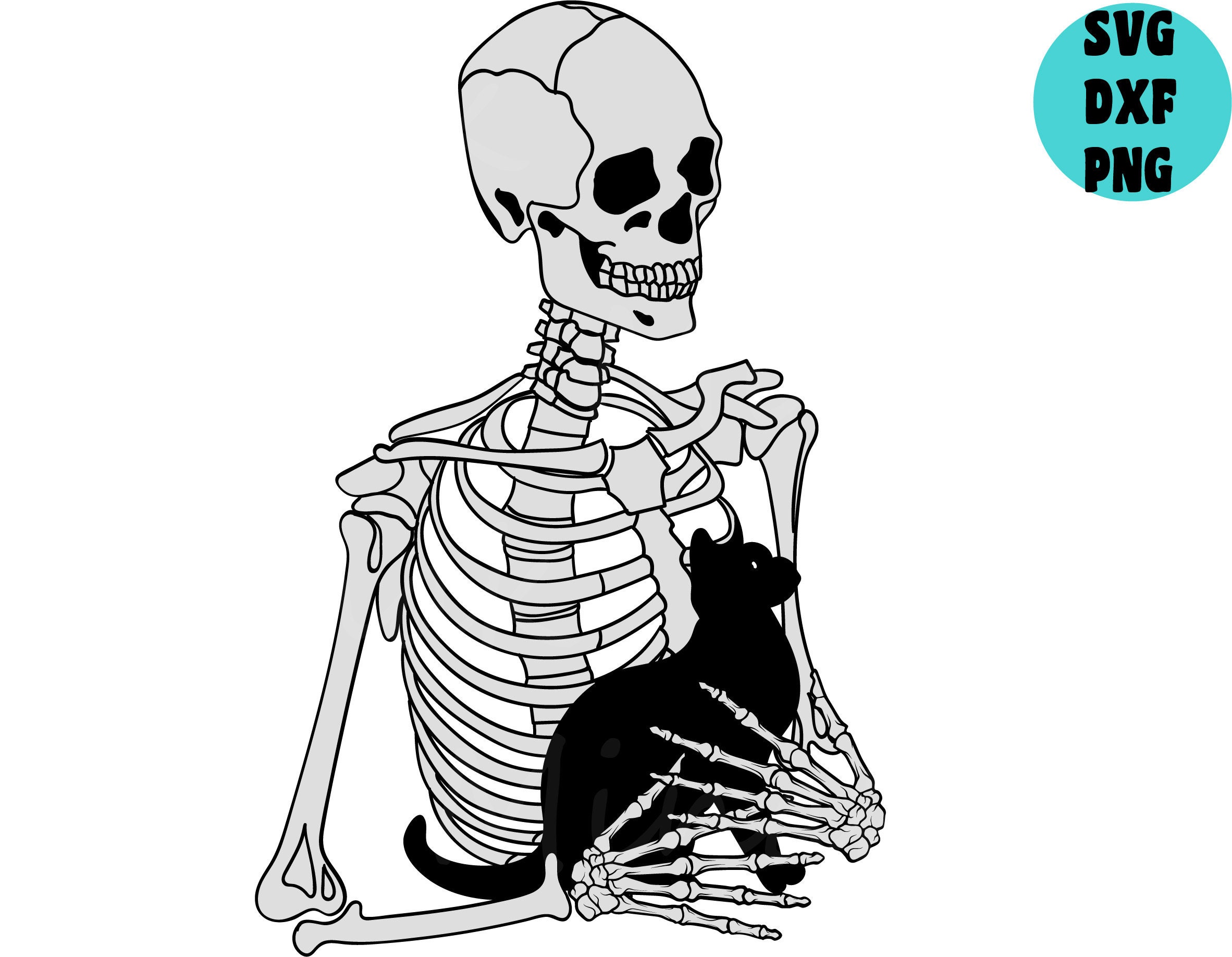 Skeleton Cat Drawing