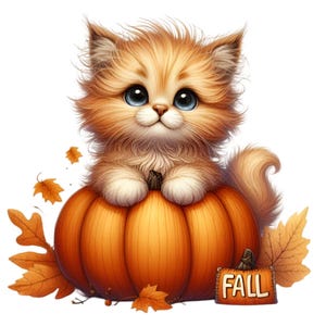 10 Fall Kitten PNG, Cute Fluffy Cat in Pumpkin Clipart, Autumn ...