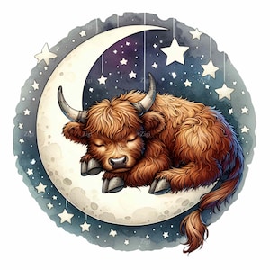 14 PNG Highland Cow Moon Clipart, Sleeping Baby Heifer, Celestial ...