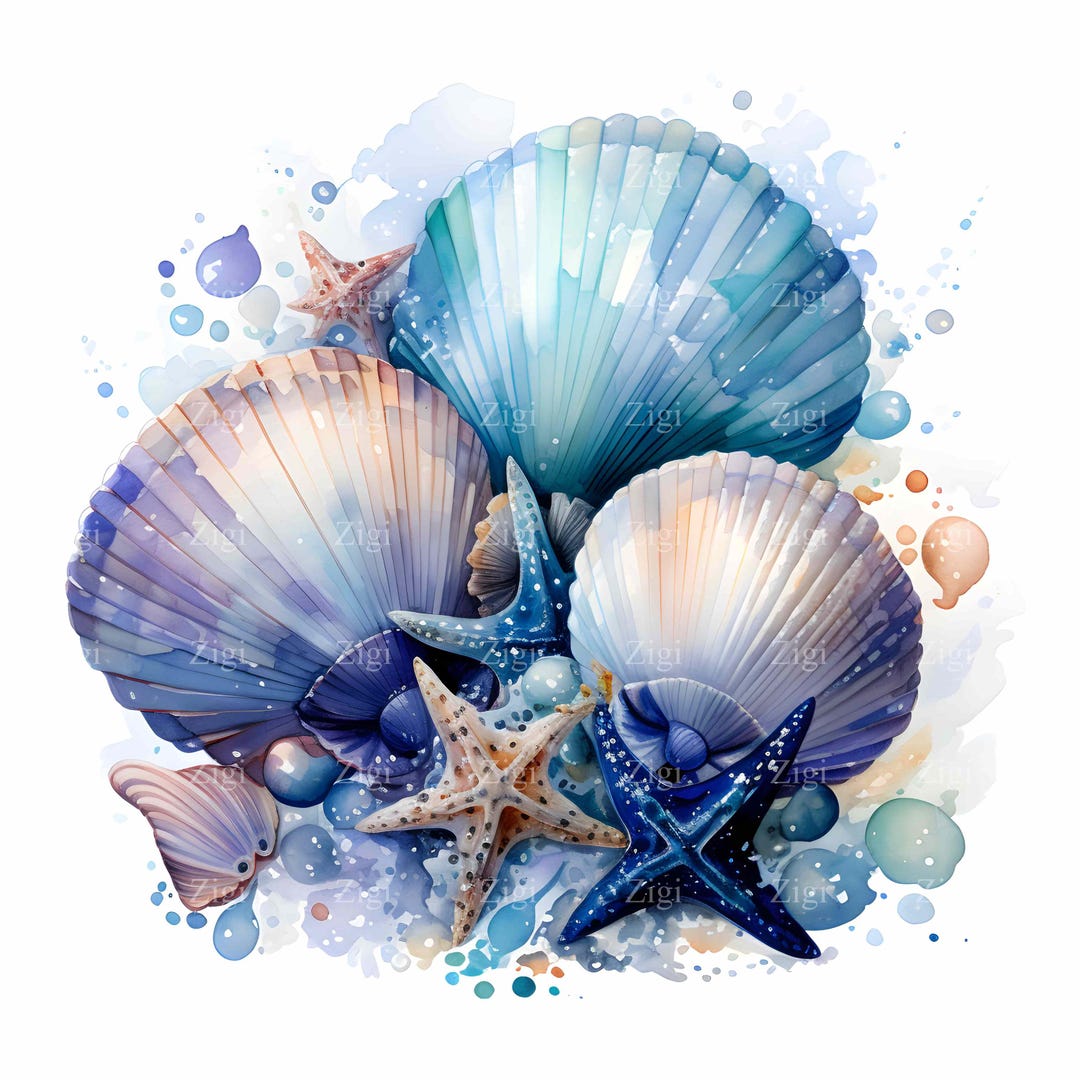 17 JPEG Seashell and Starfish Clipart JPEG – Vibrant Ocean-themed ...