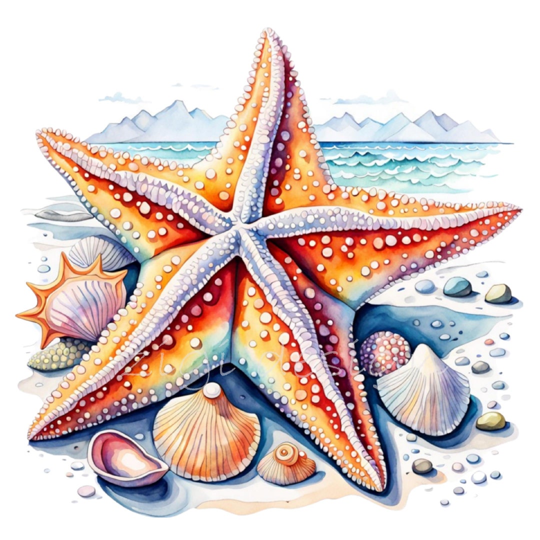 Starfish Clipart PNG Bundle 20 Ocean Animals Sea Star - Etsy