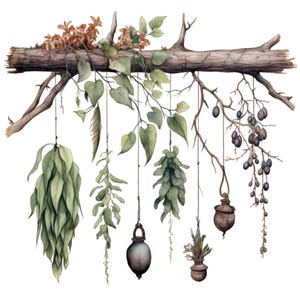 12 Rustic Hanging Plants Clipart PNG, Vintage Herb and Planter ...