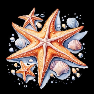 Starfish Clipart PNG Bundle 20 Ocean Animals Sea Star - Etsy