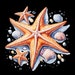 Starfish Clipart PNG Bundle 20 Ocean Animals Sea Star - Etsy