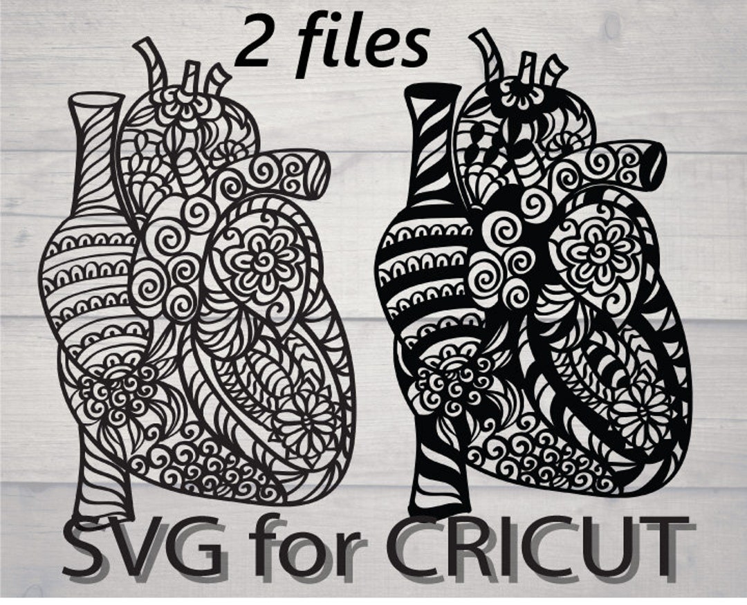 Corazón humano svg, corazón anatómico svg, anatomía svg, médico svg ...