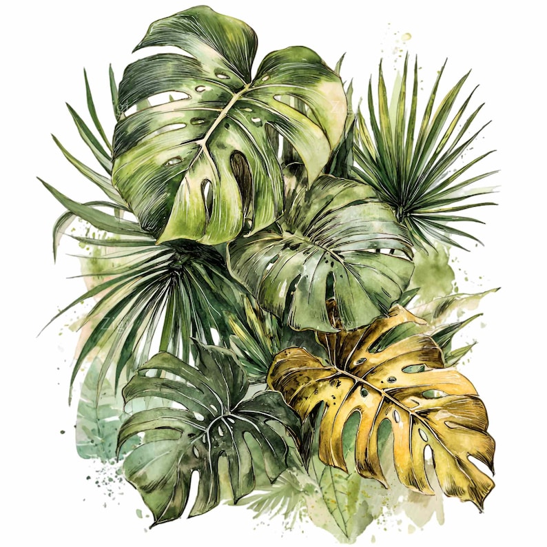 15 PNG Watercolor Jungle Leaves – Tropical Monstera Clipart PNG ...
