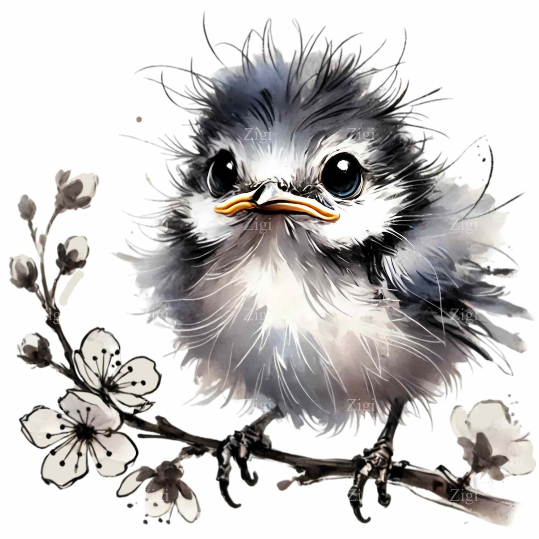 15 Baby Bird PNG Clipart - Fluffy Bird on Floral Branch Digital Art ...