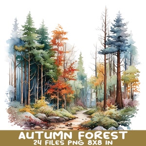 Autumn Forest Clipart PNG, Scenic Fall Pathway Illustration, 24 Digital ...