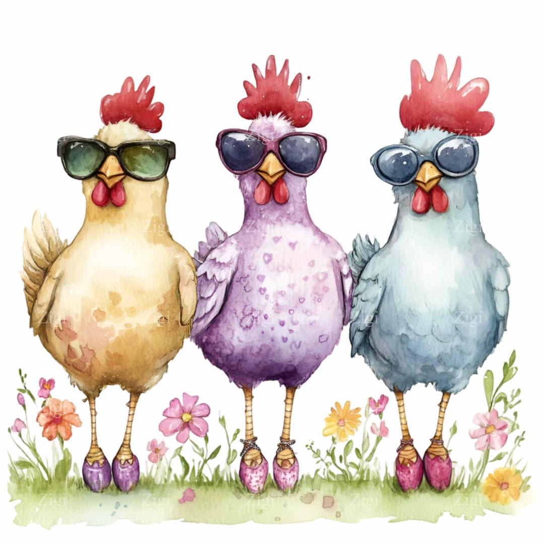 20 PNG Cool Chickens PNG Clipart, Funny Farm Roosters in Sunglasses ...