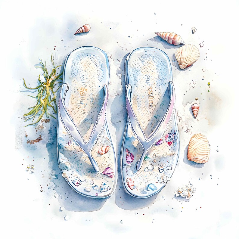 24 JPG Beach Flip Flops Illustration Watercolor, Seashell Summer ...