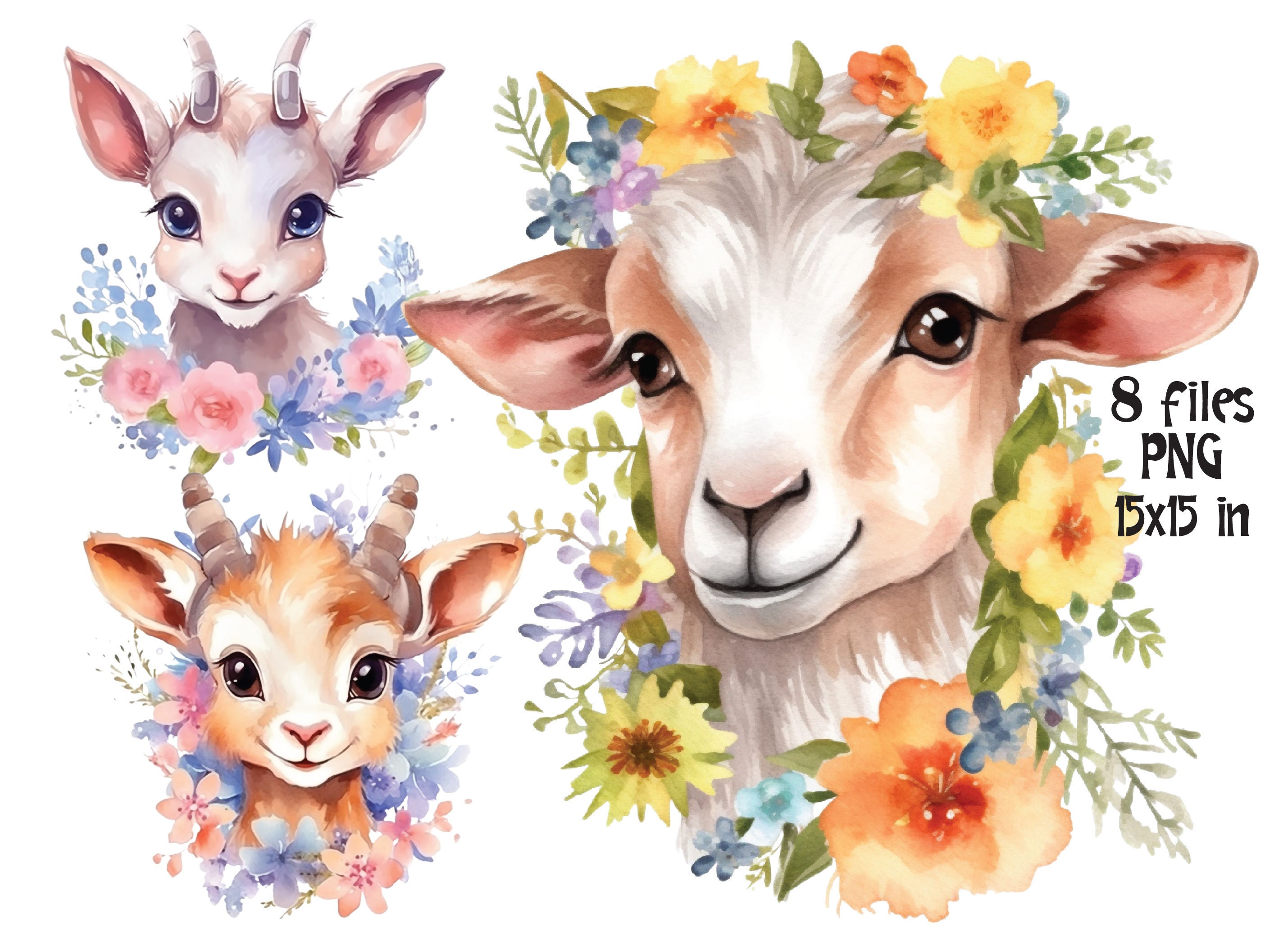 Baby Goat Clip Art