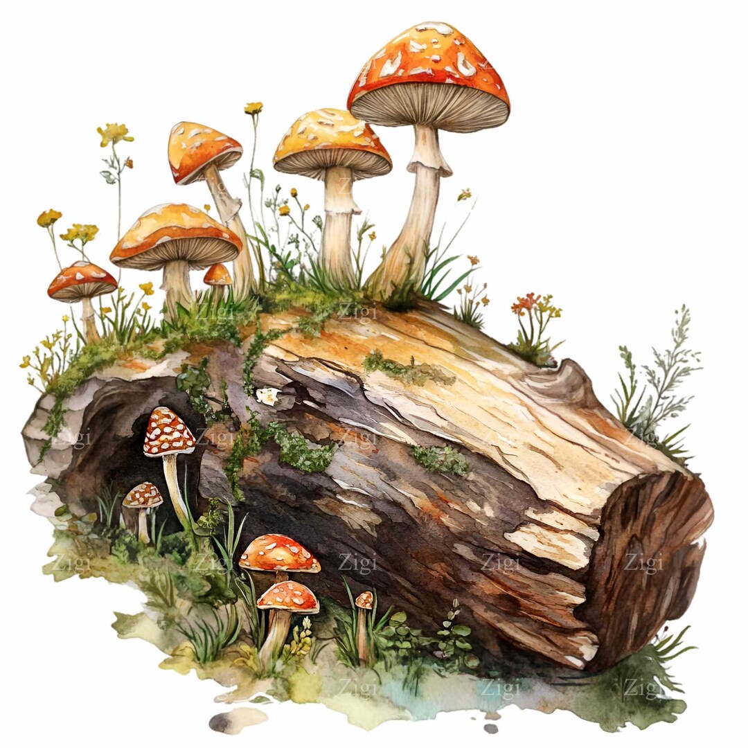 17 Forest Mushrooms on Log PNG Clipart, Orange Toadstools With Moss and ...