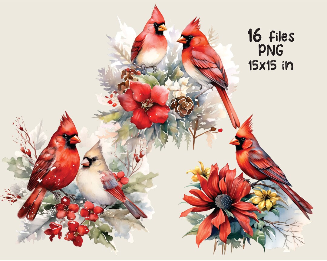 Watercolor Red Cardinal Clipart PNG Bundle Christmas Card Making Winter ...