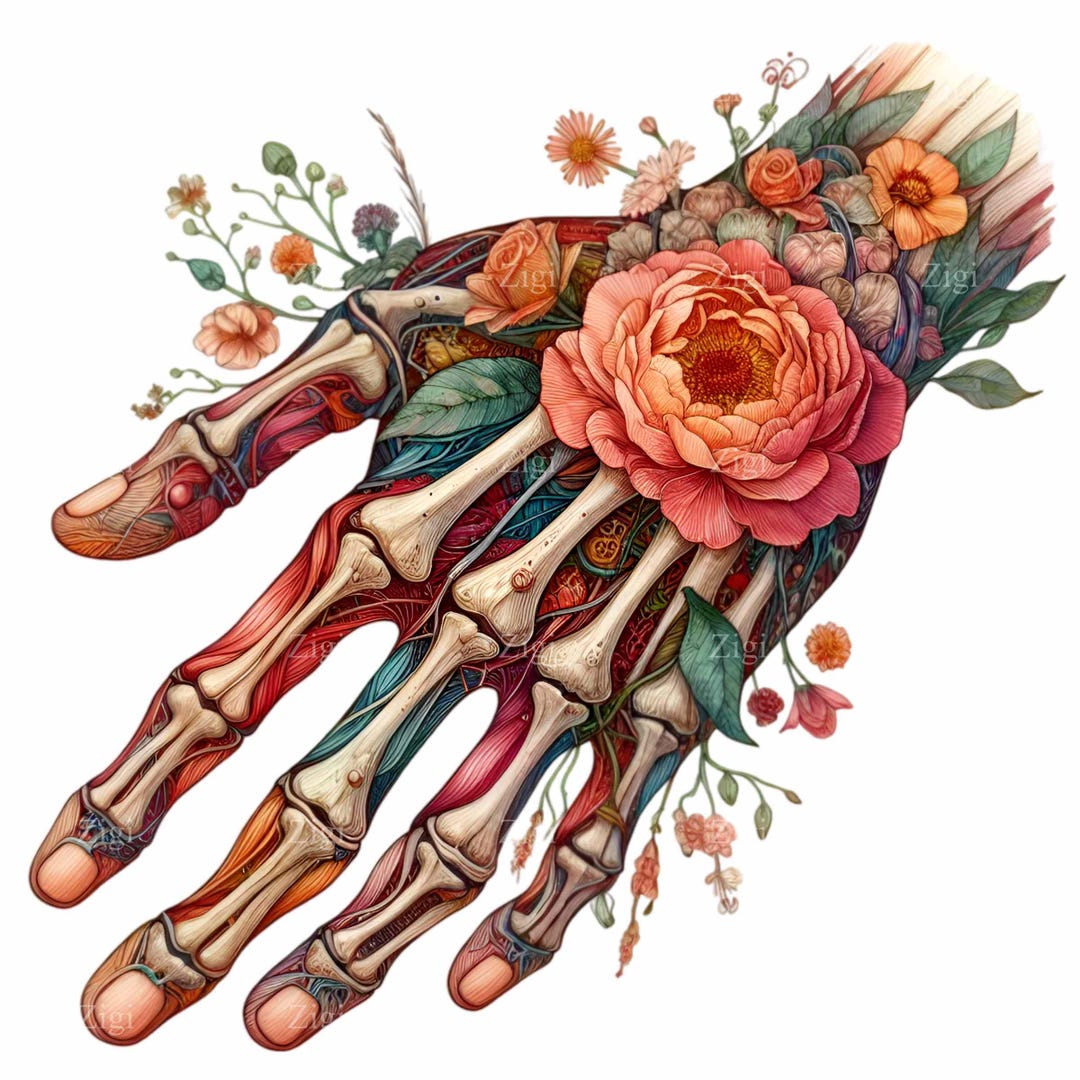 12 Floral Skeleton Hand PNG Clipart, Whimsical Anatomical Art With ...