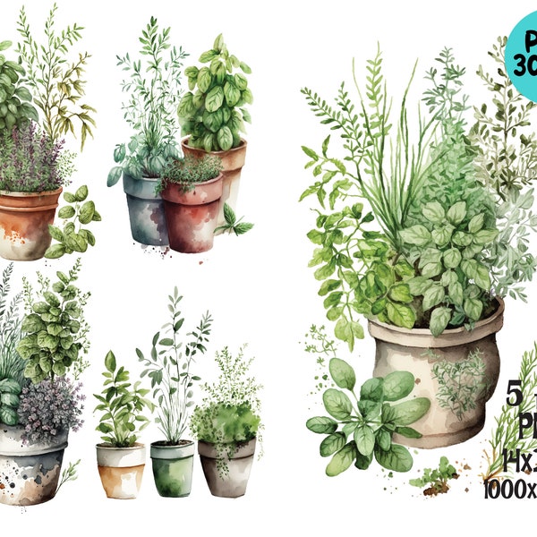 Watercolor Herbs - Etsy