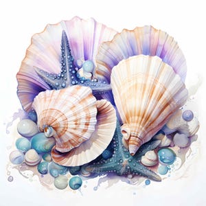 17 JPEG Seashell and Starfish Clipart JPEG – Vibrant Ocean-themed ...