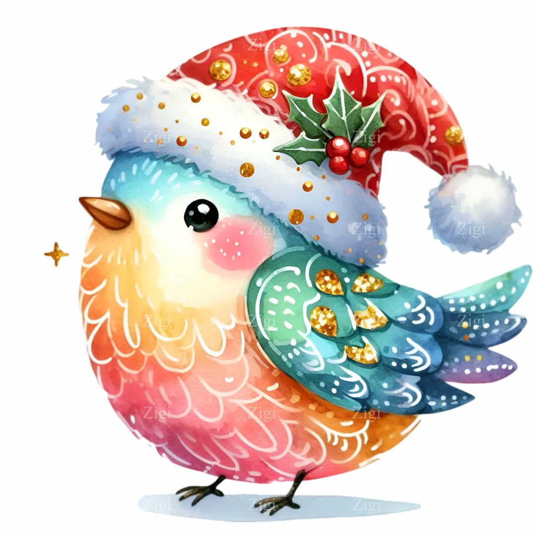 12 PNG Colorful Christmas Bird Clipart - Festive Bird PNG With Santa ...