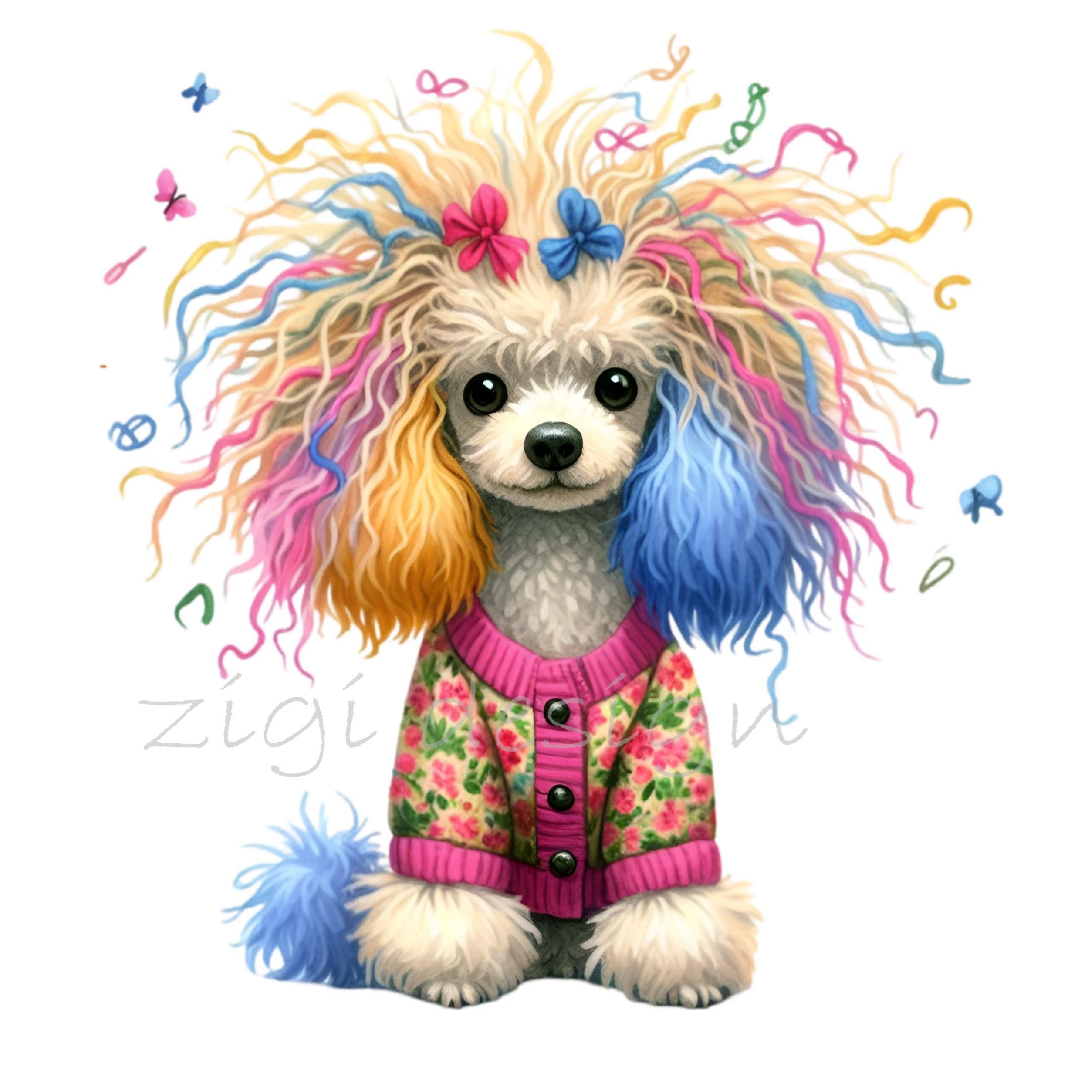 12 PNG Poodle Clipart, Rainbow Dog Illustration, Pet Character Grooming ...