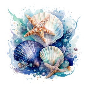 10 Seashell Clipart PNG, Watercolor Starfish and Shells, Ocean Beach ...