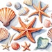 Starfish Clipart PNG Bundle 20 Ocean Animals Sea Star - Etsy