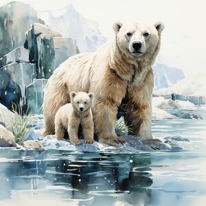 Polar Bear Clipart Digital Papers 12 JPG Watercolor Mother and Baby ...