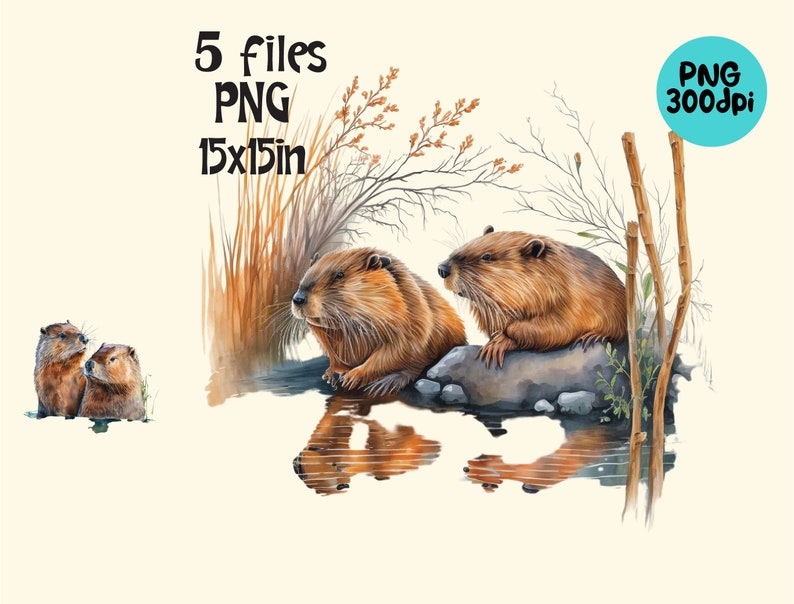 Biber Clipart Aquarell Wald Sublimation PNG - Etsy.de