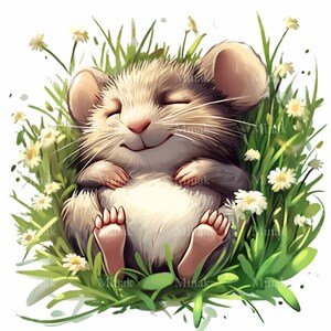 12 Sleeping Mouse PNG Clipart - Digital Download of Relaxed Mouse in ...