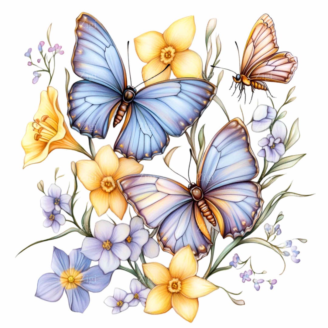15 PNG Spring Flowers – Butterfly JPG Clipart – Floral Printable Design ...