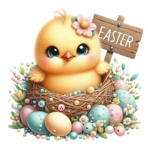 18 Easter Chick PNG Clipart, Cute Baby Chick in Egg With Flowers and ...