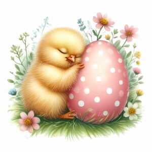 14 Cute Chick Sleeping Beside Polka Dot Egg PNG Clipart - Spring Floral ...