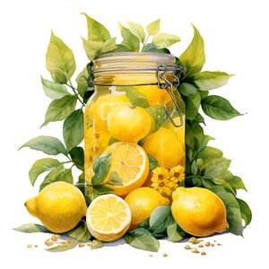16 Lemon Jar Clipart PNG, Tuscan Village in Honey Jar Art, Citrus ...