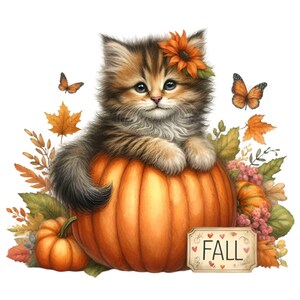 10 Fall Kitten PNG, Cute Fluffy Cat in Pumpkin Clipart, Autumn ...