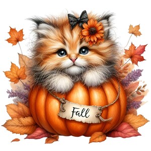 10 Fall Kitten PNG, Cute Fluffy Cat in Pumpkin Clipart, Autumn ...