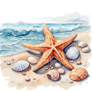 Starfish Clipart PNG Bundle 20 Ocean Animals Sea Star - Etsy