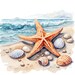 Starfish Clipart PNG Bundle 20 Ocean Animals Sea Star - Etsy