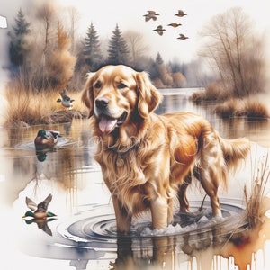 Hunting Dog Clipart, Golden Retriever Dog Clipart Digital Papers 15 JPG ...