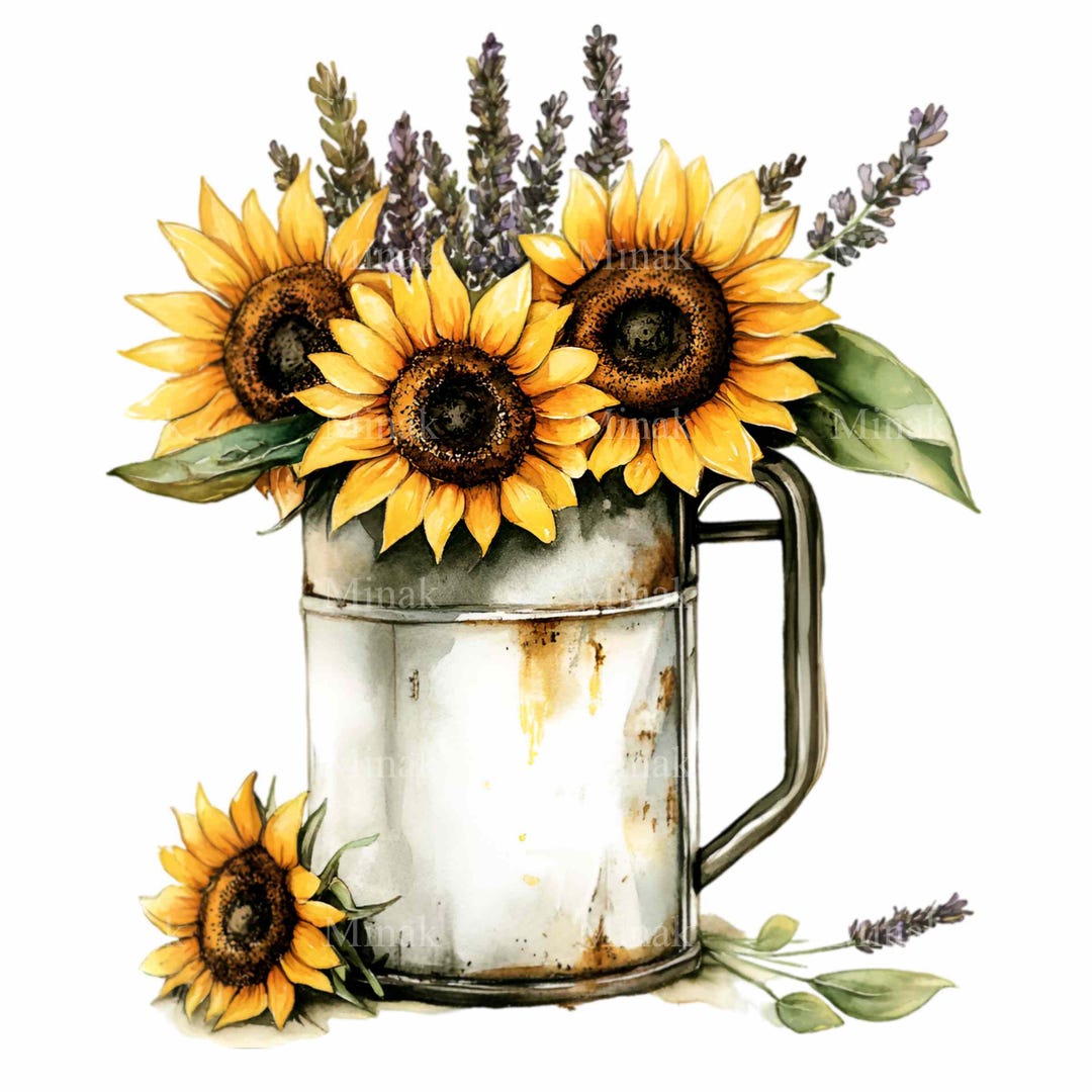 12 Rustic Sunflower PNG Clipart, Vintage Milk Can With Sunflowers ...