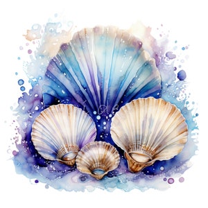 Sea Shells Clipart 10 PNG, Watercolor Seashells Underwater Ocean Beach ...